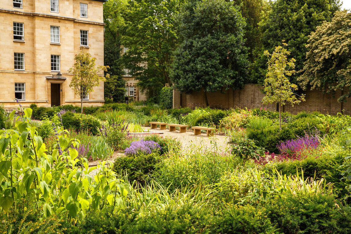 About the College | Christs College Cambridge